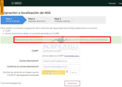Como Saber Mi Nss 2025